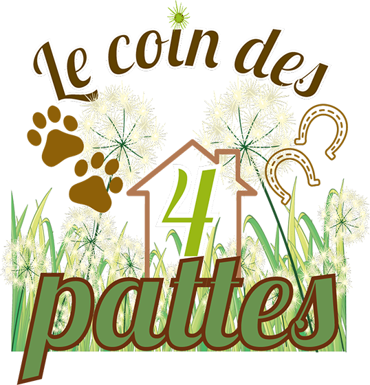 LE COIN DES 4 PATTES